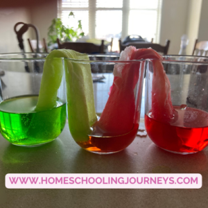 20 Water Science Activities For Kids - Homeschooling Journeys