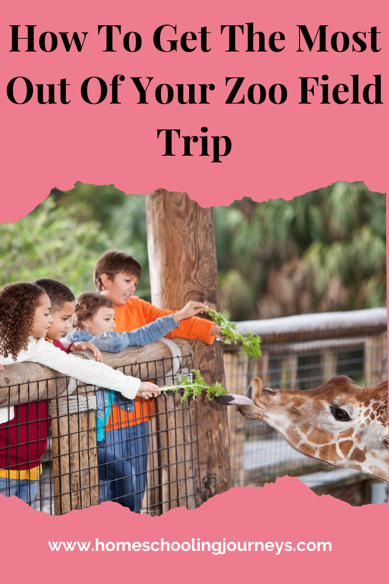 How To Get The Most Out Of Your Zoo Field Trip - Homeschooling Journeys